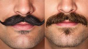 What Is the Difference Between a Mustache and a Beard? - Beard Institute